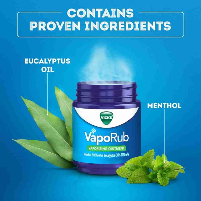 Vicks Vaporub Chest Rub And Vaporizing Ointment Decongestant 100G ...